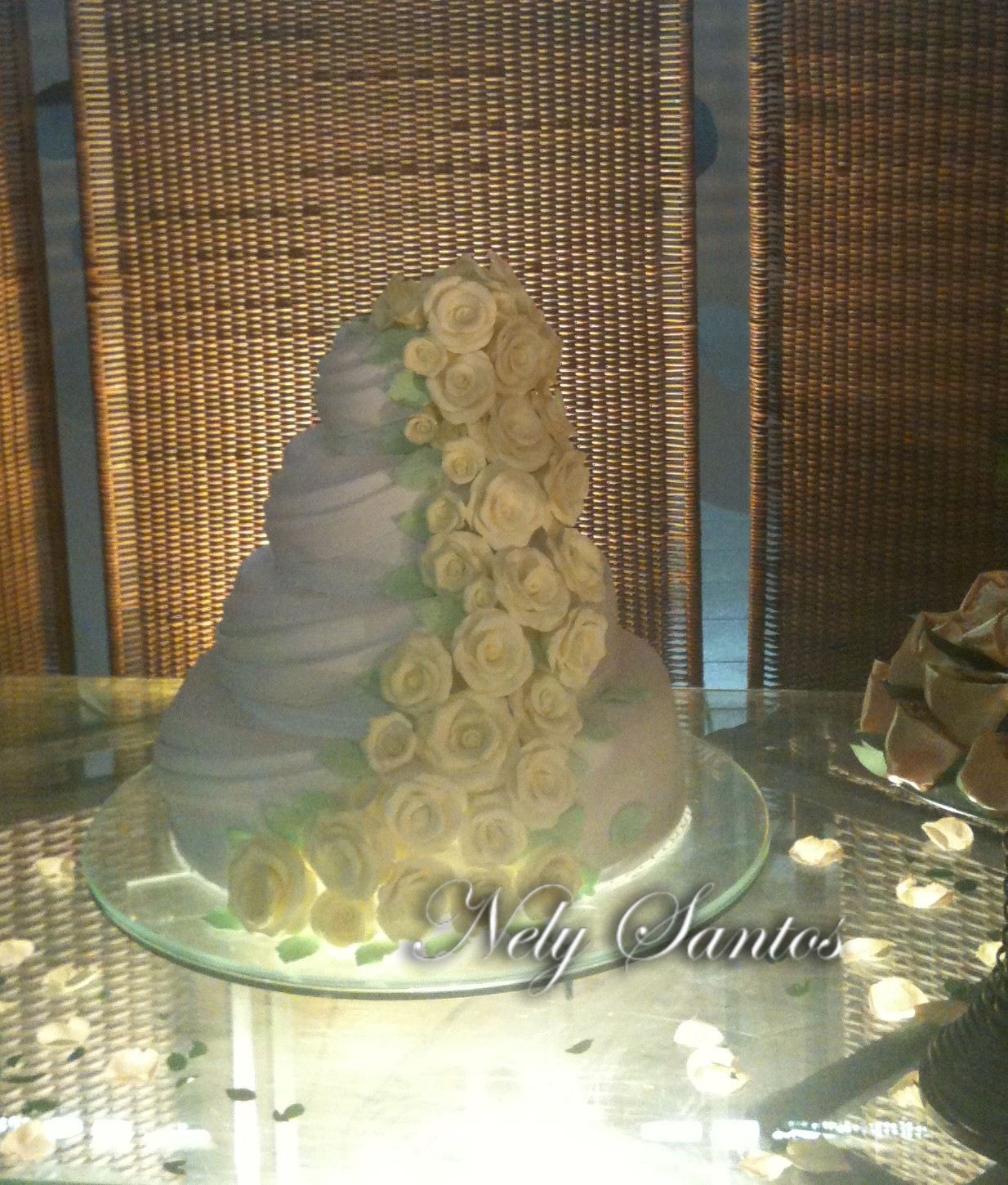 Nely Santos: CASAMENTOS