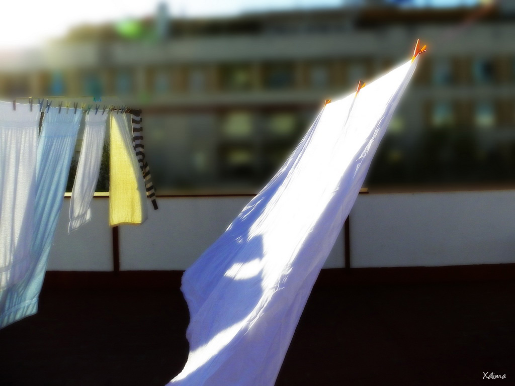 Xálima blog: ROPA TENDIDA