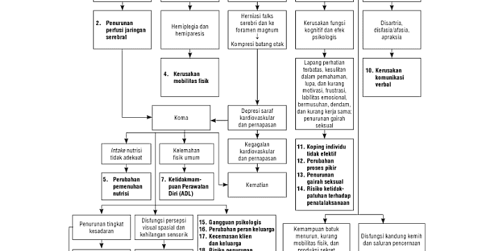 LAPORAN PENDAHULUAN : STROKE ISKEMIK ~ Nurse Fadhil