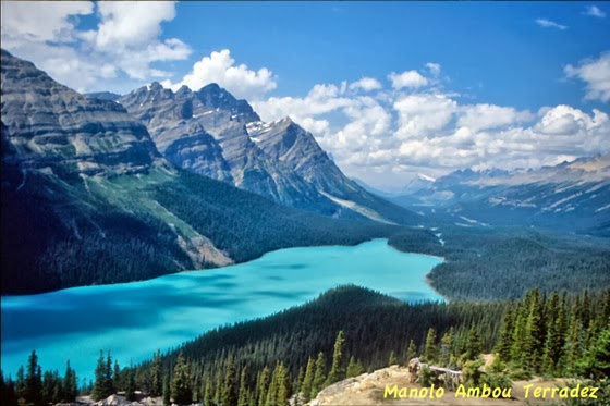 MISCELANEA de MANOLO AMBOU : EL COLOR DE LAS AGUAS DE LOS GLACIARES