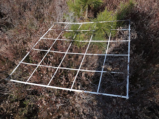 A Little Bit Of Geography: Fieldwork: Quadrat