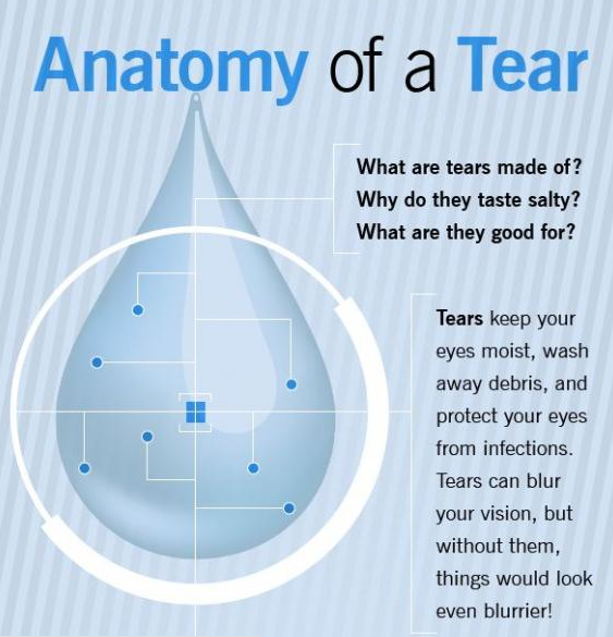 Tech & Soft: January 2015