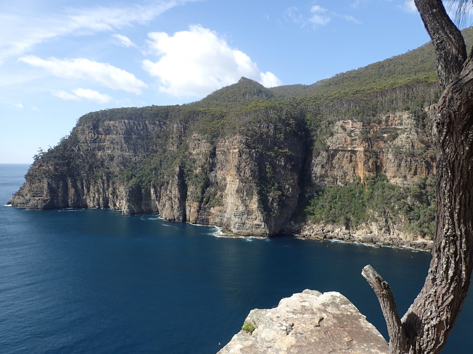 Waterfall Bluff | Hiking South East Tasmania