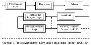 HUMMAN RESOURCE CONCENTRATION: PROSES MANAJEMEN MSDM