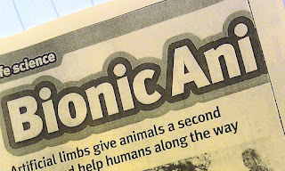 Eclectic Educating: Nonfiction Summary