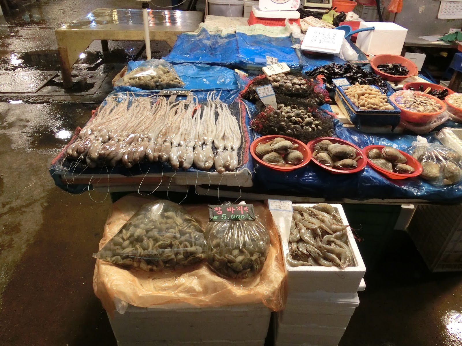 Nau speak: Korea: Noryangjin Old Fish market part two