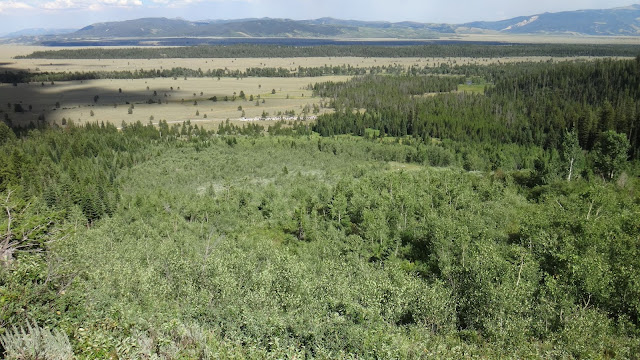WYOMING WHISKEY: Lupine Meadows Trailhead