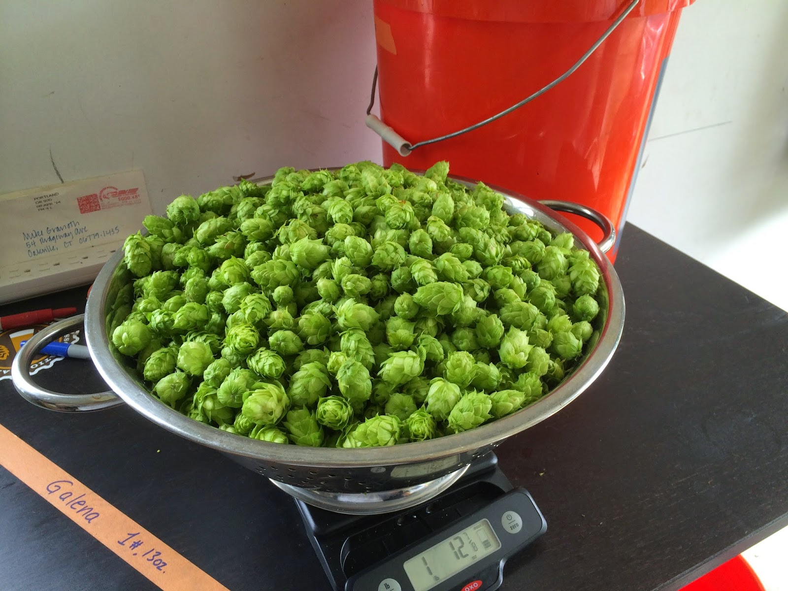 Stars & Bars Brewing Co.