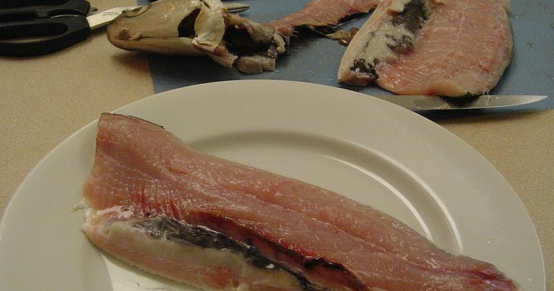 6 Easy Steps How to Fillet a Milkfish Yourself - Milkfish Supplier ...