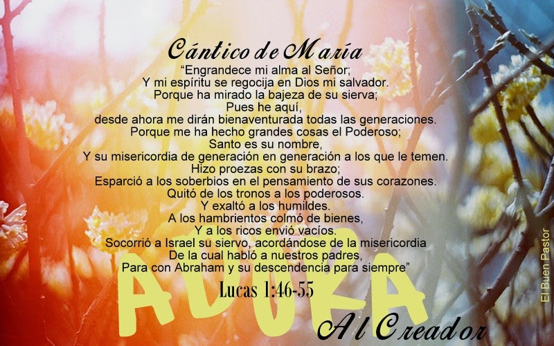YO SOY EL BUEN PASTOR: Lucas 1:46-55