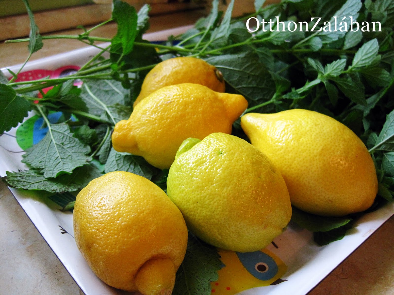 Otthon vidéken: Citromfű szörp- Nyugi szirup