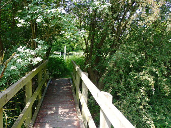Hertfordshire Walker: Walk 74: North Mymms North-East Loop