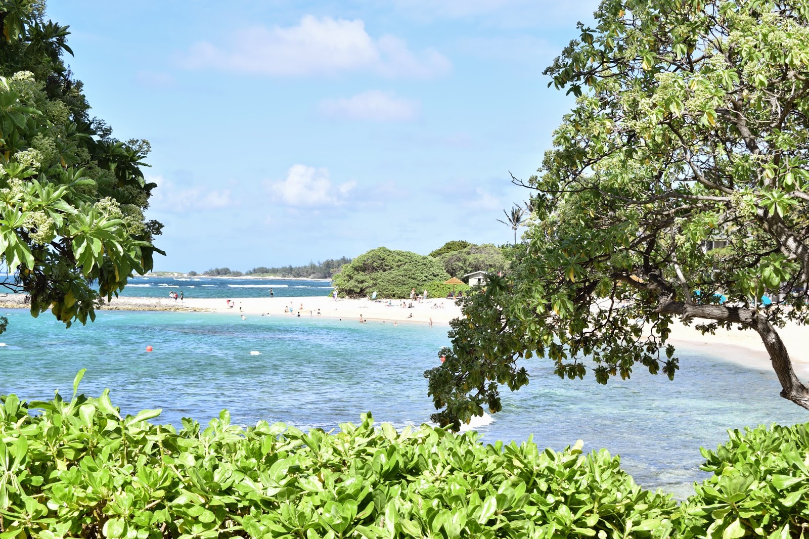 Turtle Bay Resort | Oahu, Hawaii
