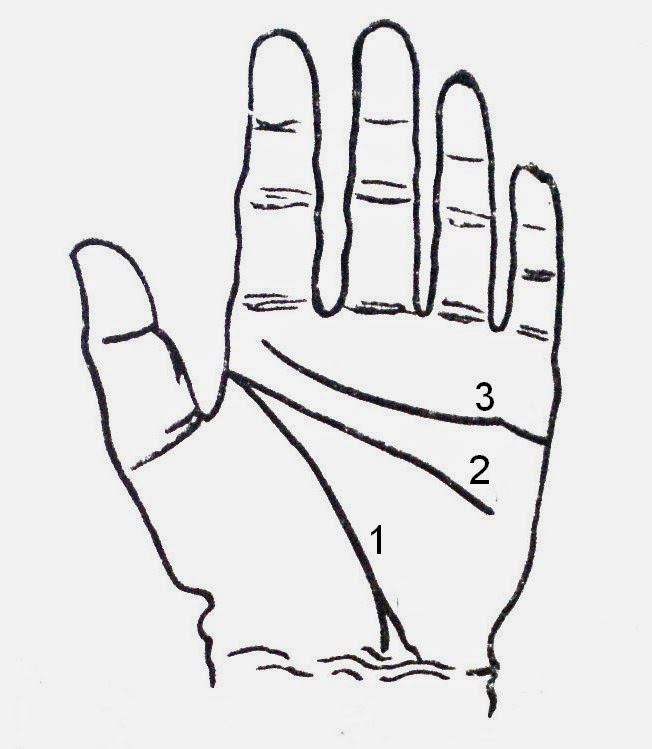 Hand Prediction ทำนายลายมือ: เส้นหลัก 3 เส้น บนฝ่ามือ