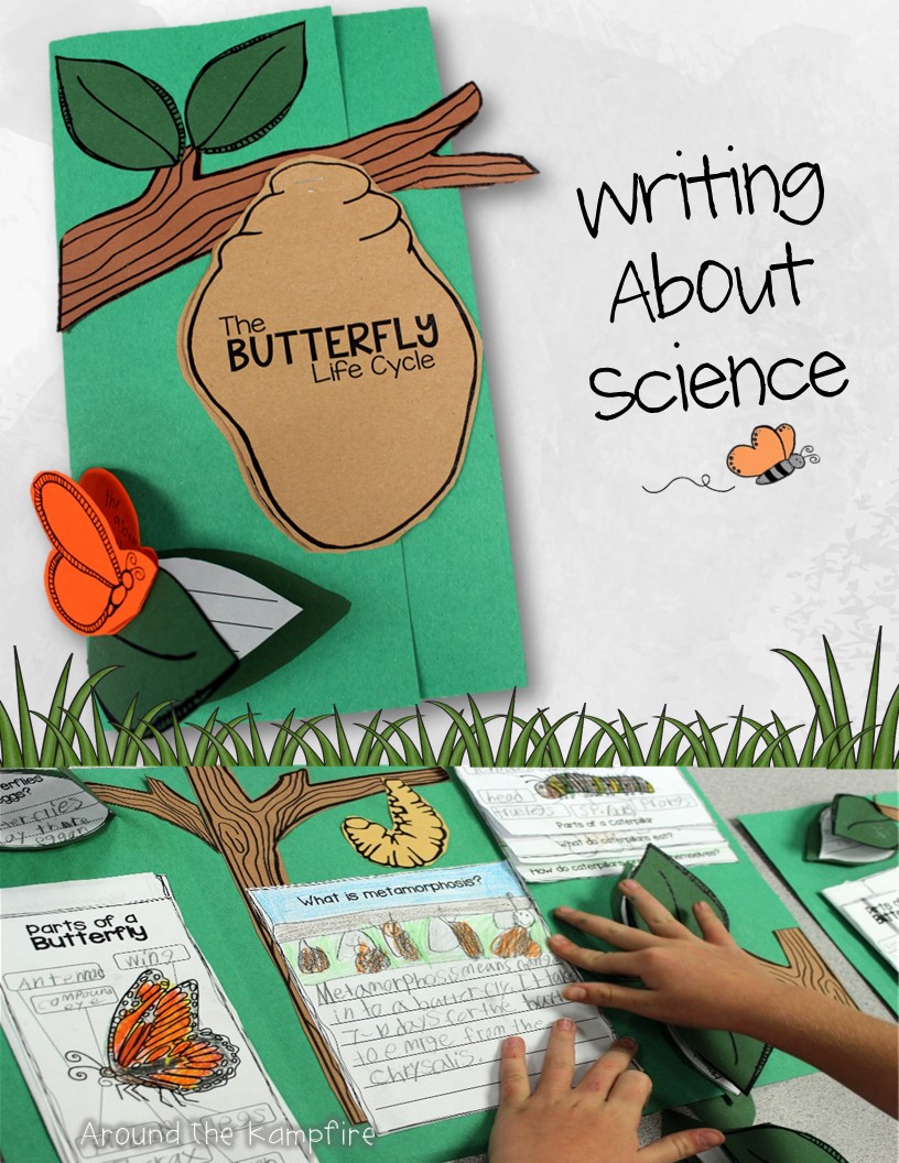 Butterfly Math and Science Activities - Around the Kampfire