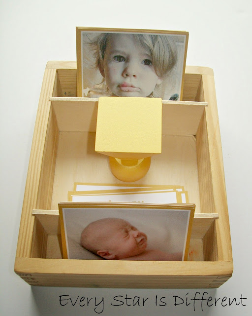 Montessori-inspired Grammar Activities with FREE Printables - Every ...