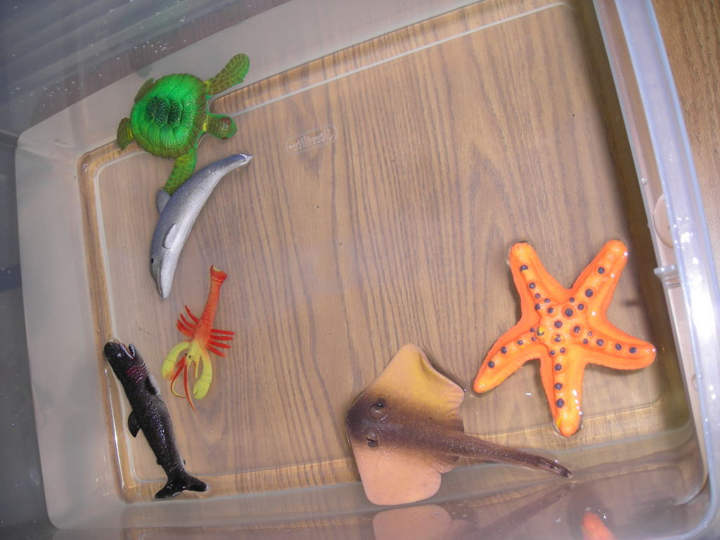 Classroom Companion: Measuring with Sea Creatures