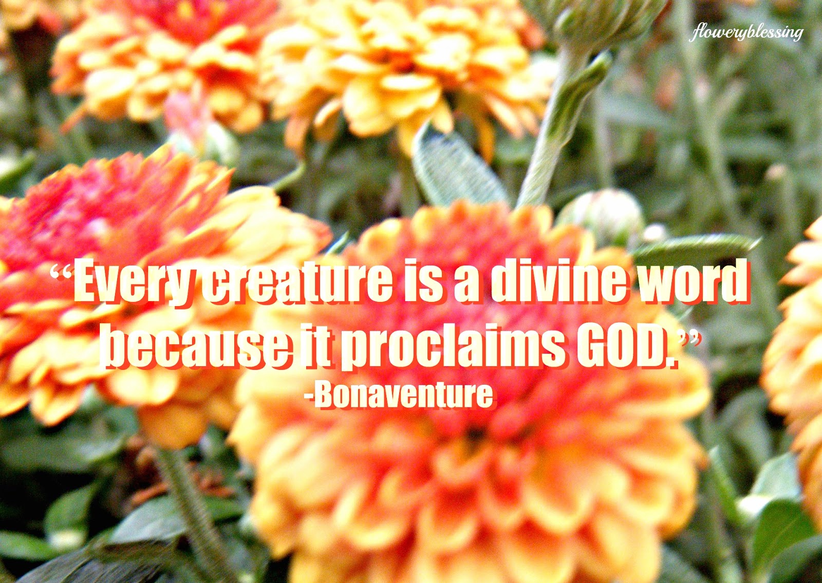 Flowery Blessing: “Every creature is a divine word because it proclaims ...