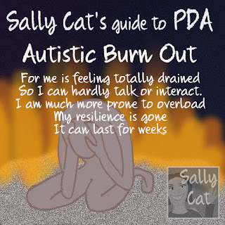 Sally Cat PDA: How I understand PDA (in language kids can understand)