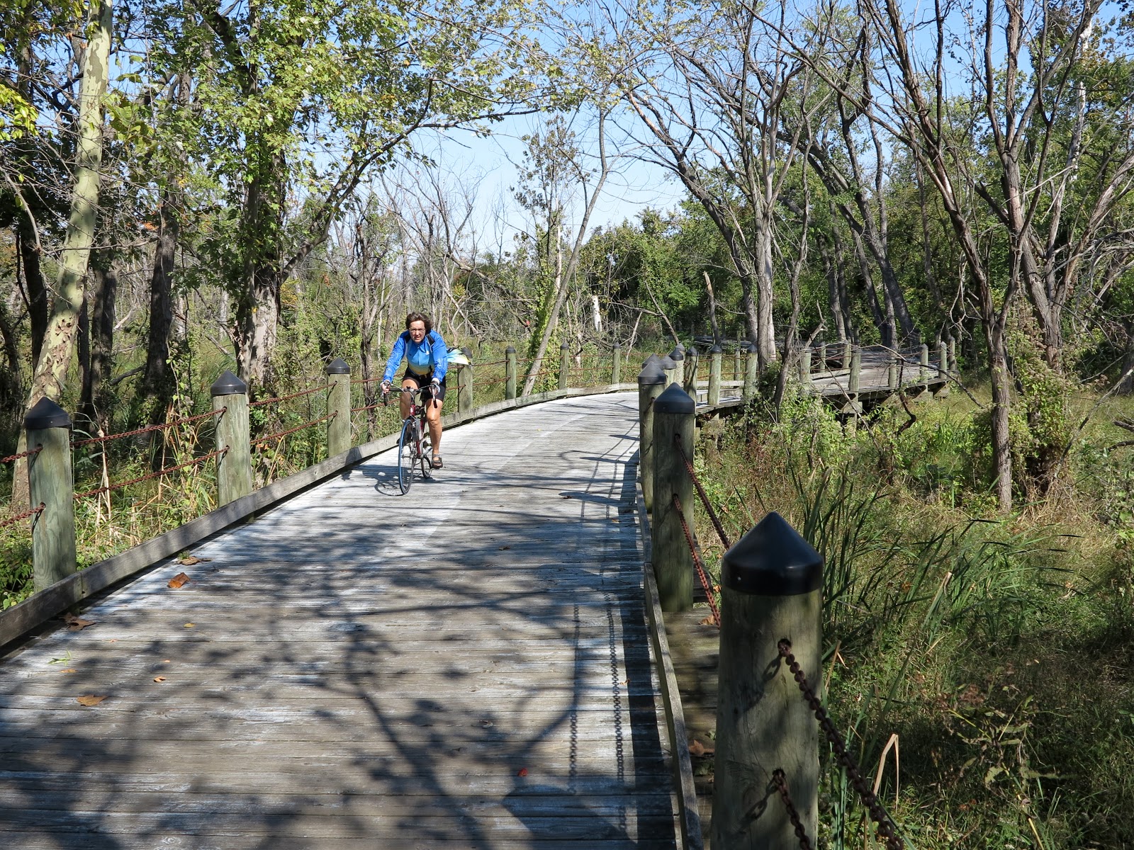 the boardwalk on the Mount Vernon Trail...