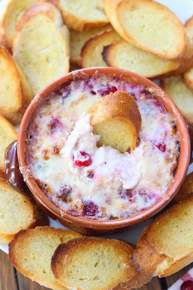 Fun Holiday Potluck Dips Martinis Bikinis fun-holiday-potluck-dips-martinis-bikinis