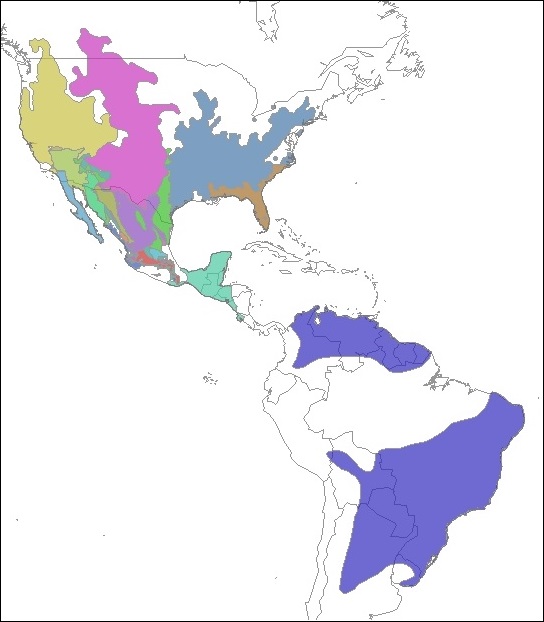 Life is short, but snakes are long: June 2015