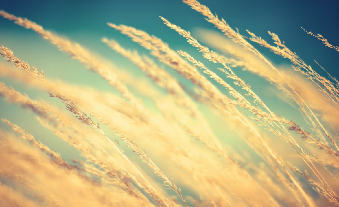 6 Macam-Macam Angin di Indonesia ~ Ruana Sagita