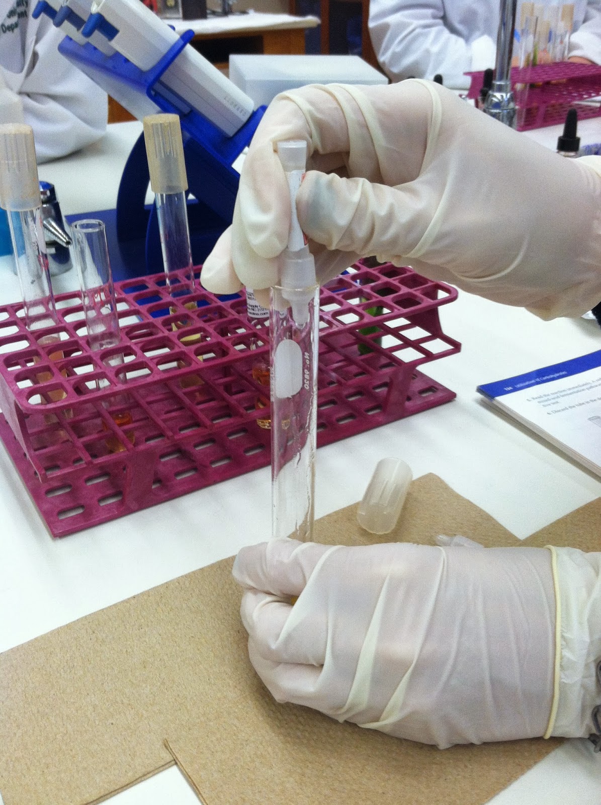 Rose & Lindsey's Medical Microbiology Blog: Methyl Red Test and Voges ...