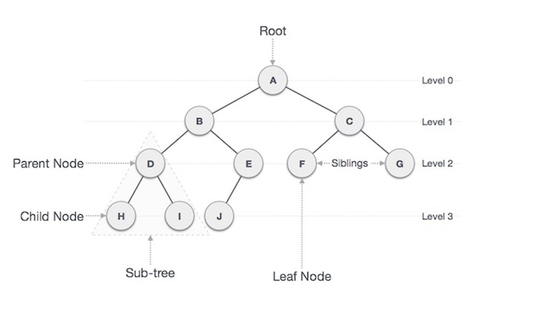 IGNOU DYNAMIC SOLVER: BCA 3rd sem /MCS-021/Solved Assignment/Data and ...