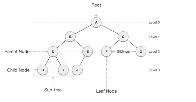 IGNOU DYNAMIC SOLVER: BCA 3rd sem /MCS-021/Solved Assignment/Data and File Structures/2016-2017 New﻿