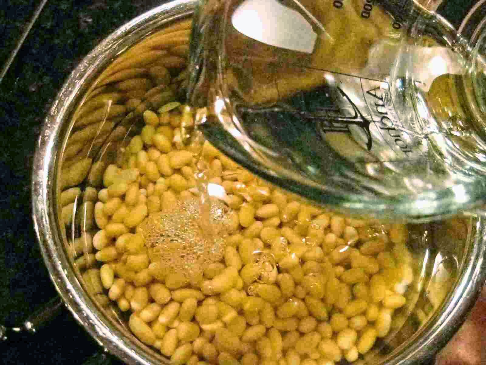 Recipes for Tom: Tonyu, okara / soy milk and soybean pulp