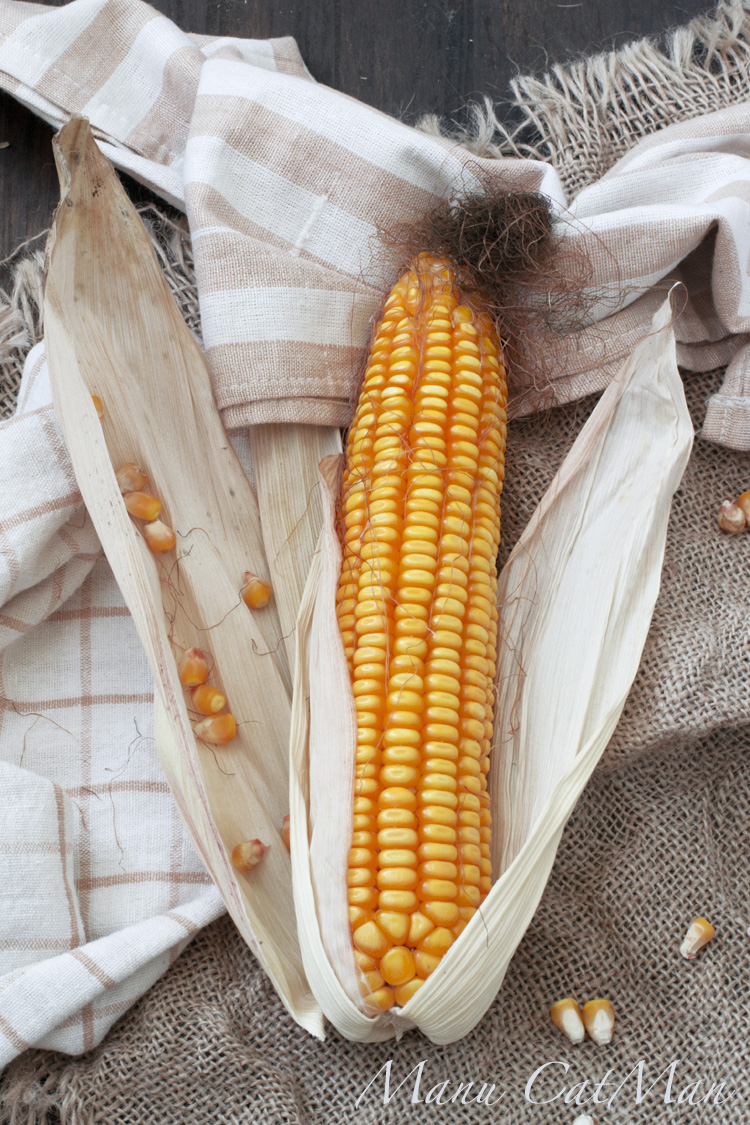 Mazorcas | La imagen del domingo - Cocinando con CatMan