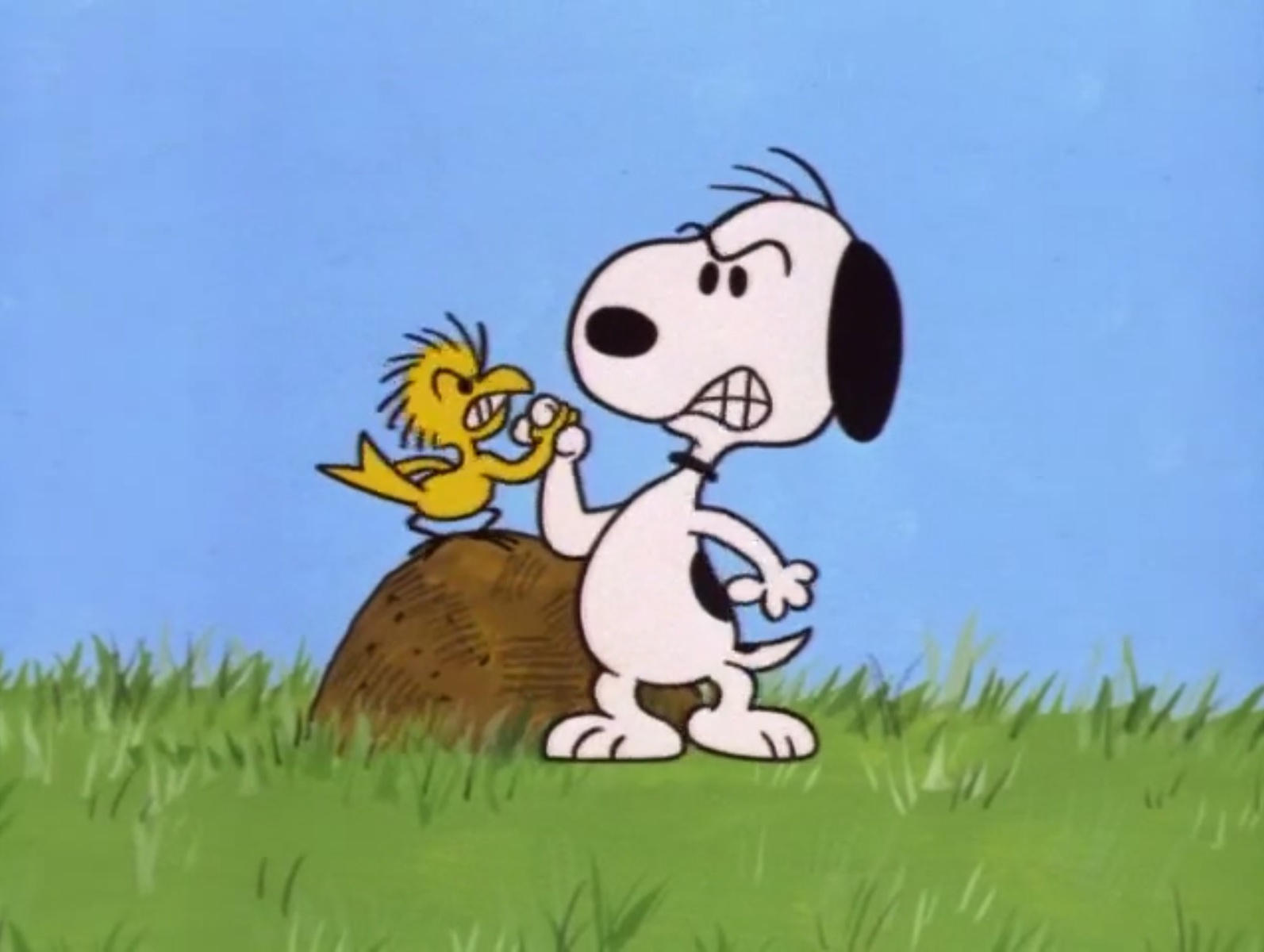 Charlie Brown's Non-Holiday Specials: It Was A Short Summer, Charlie Brown.