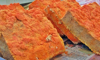 Resep - Cara Membuat Oncom