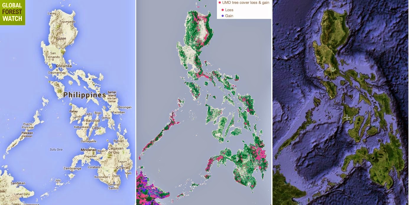 Tropical Rainforest in the Philippines: Tropical Rainforests of the ...
