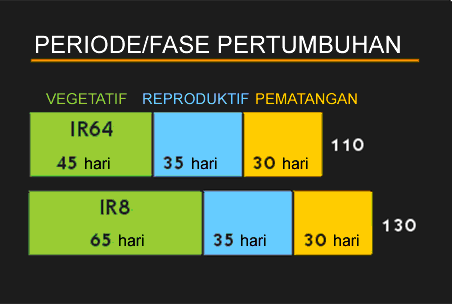 BP4K Kabupaten Cianjur: FASE PERTUMBUHAN TANAMAN PADI