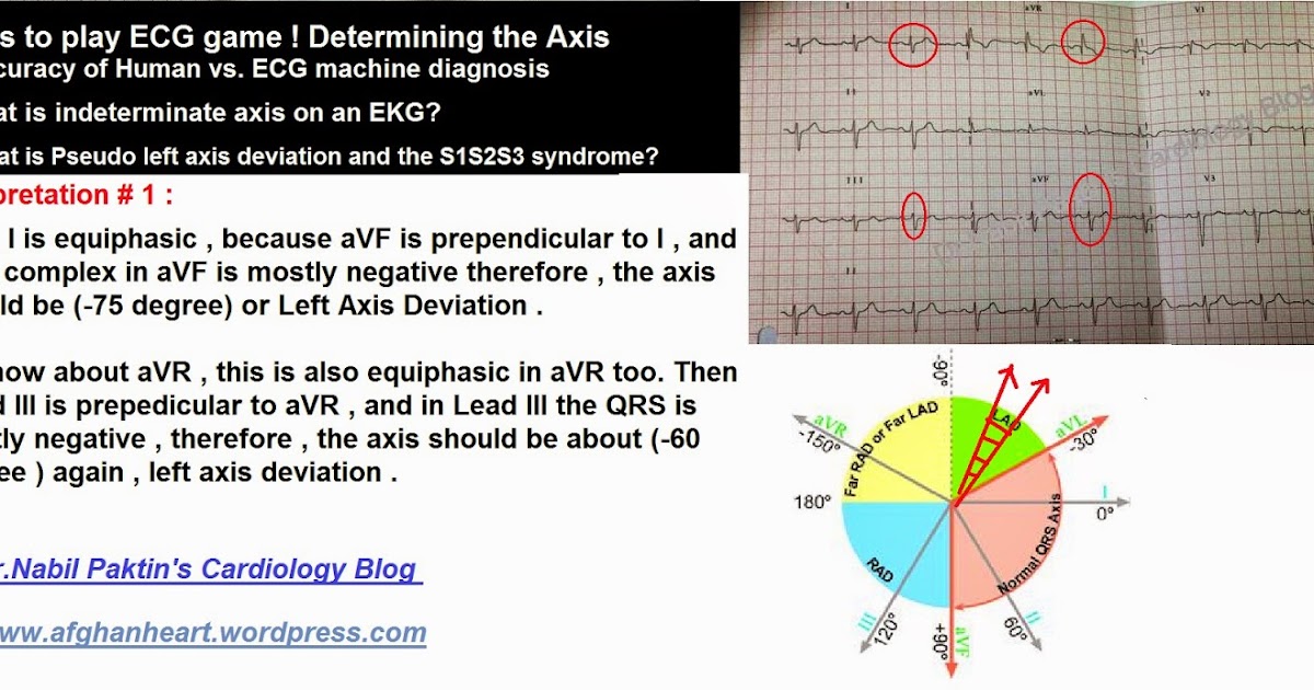 Dr.Nabil Paktin's Cardiology Blog مجله کاردیولوژی دکتور نبــیل پاکطـین ...