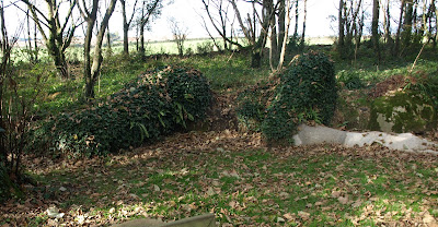 Jean's musings: Lost Gardens of Heligan: Part I