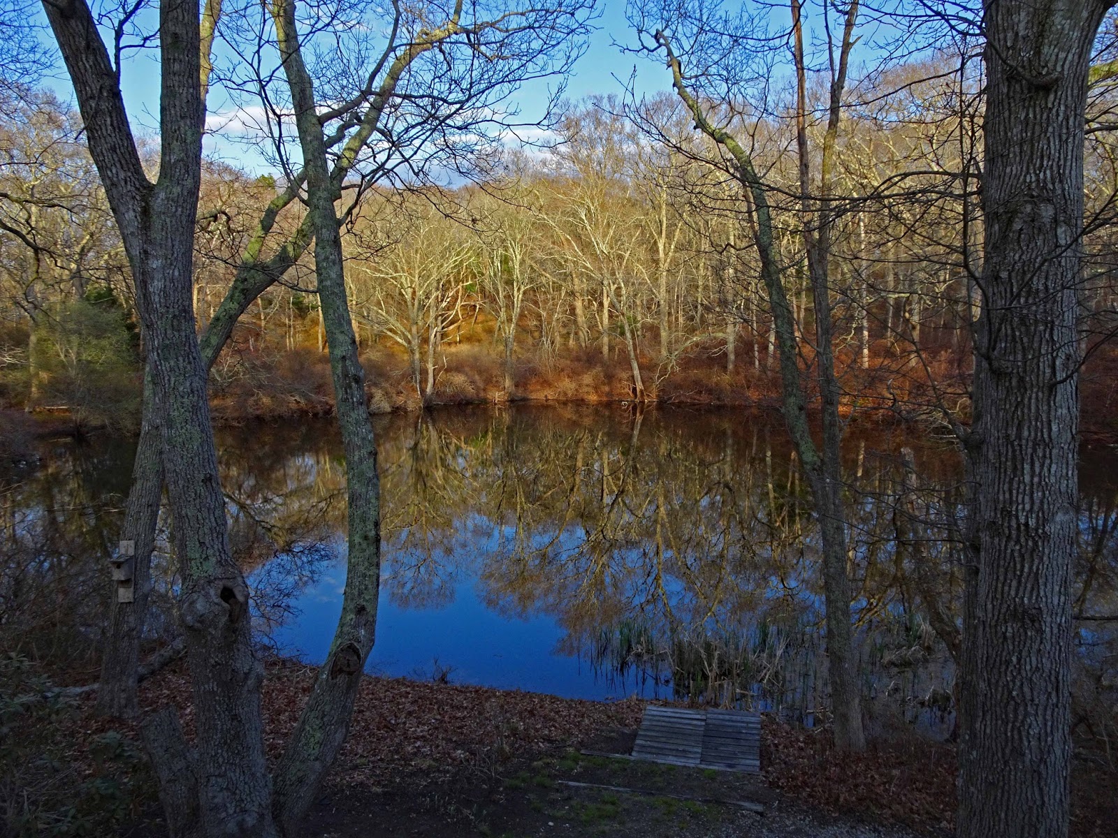 Joe's Retirement Blog: Spring, Manomet, Plymouth, Massachusetts, USA