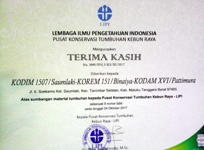 LIPI Sertifikatkan Torem Sebagai Pohon Endemik - Maluku Post