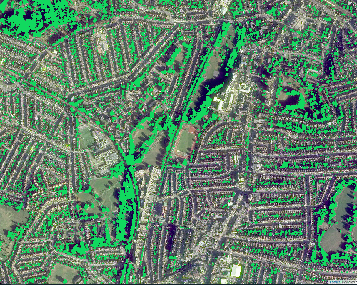 Ladywell Fields: Tree canopy cover