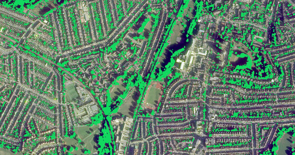 Ladywell Fields: Tree canopy cover
