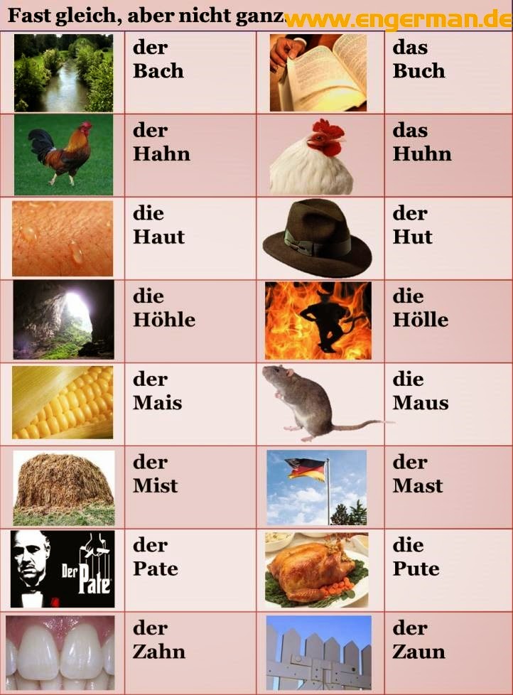 German Vocabulary - Fast gleich, aber nicht ganz 2 « L E A R N G E R M A N
