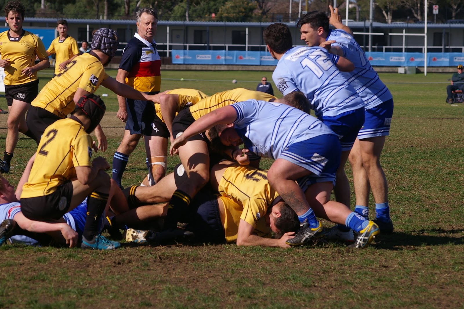 Blue Mountains Rugby Overflow: UNSW 7.7.18