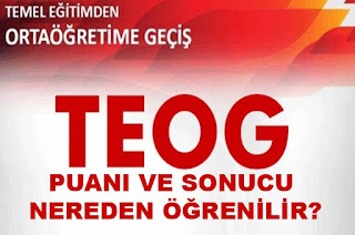 TEOG Sonuçları Nasıl Öğrenilir, Nereden Bakılır? - Güncel9