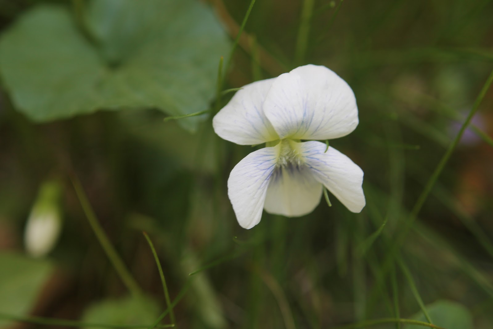 Just a Mom Outside: May 2013