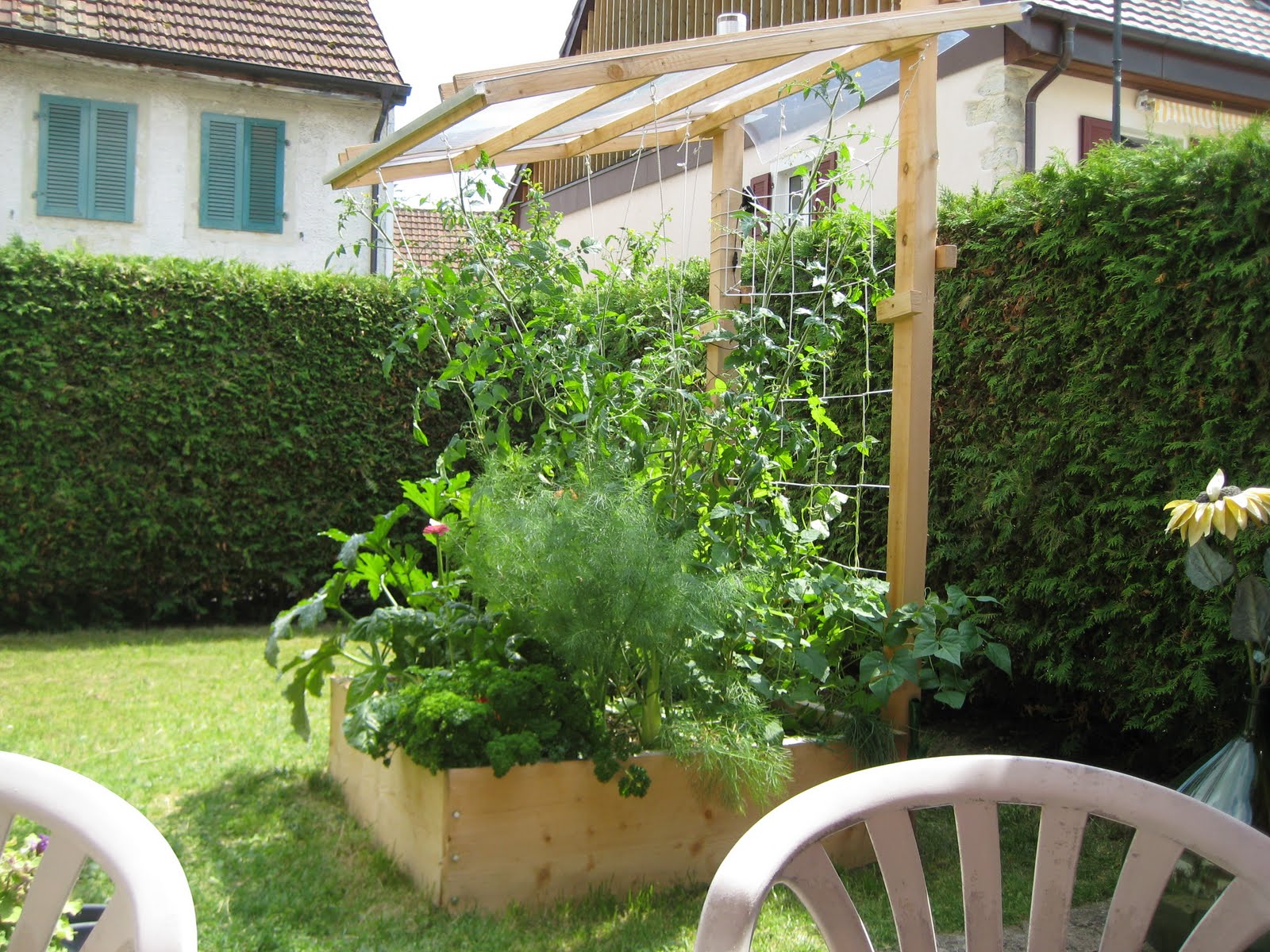 Notre aventure: Le potager de grand-mère Guéguette