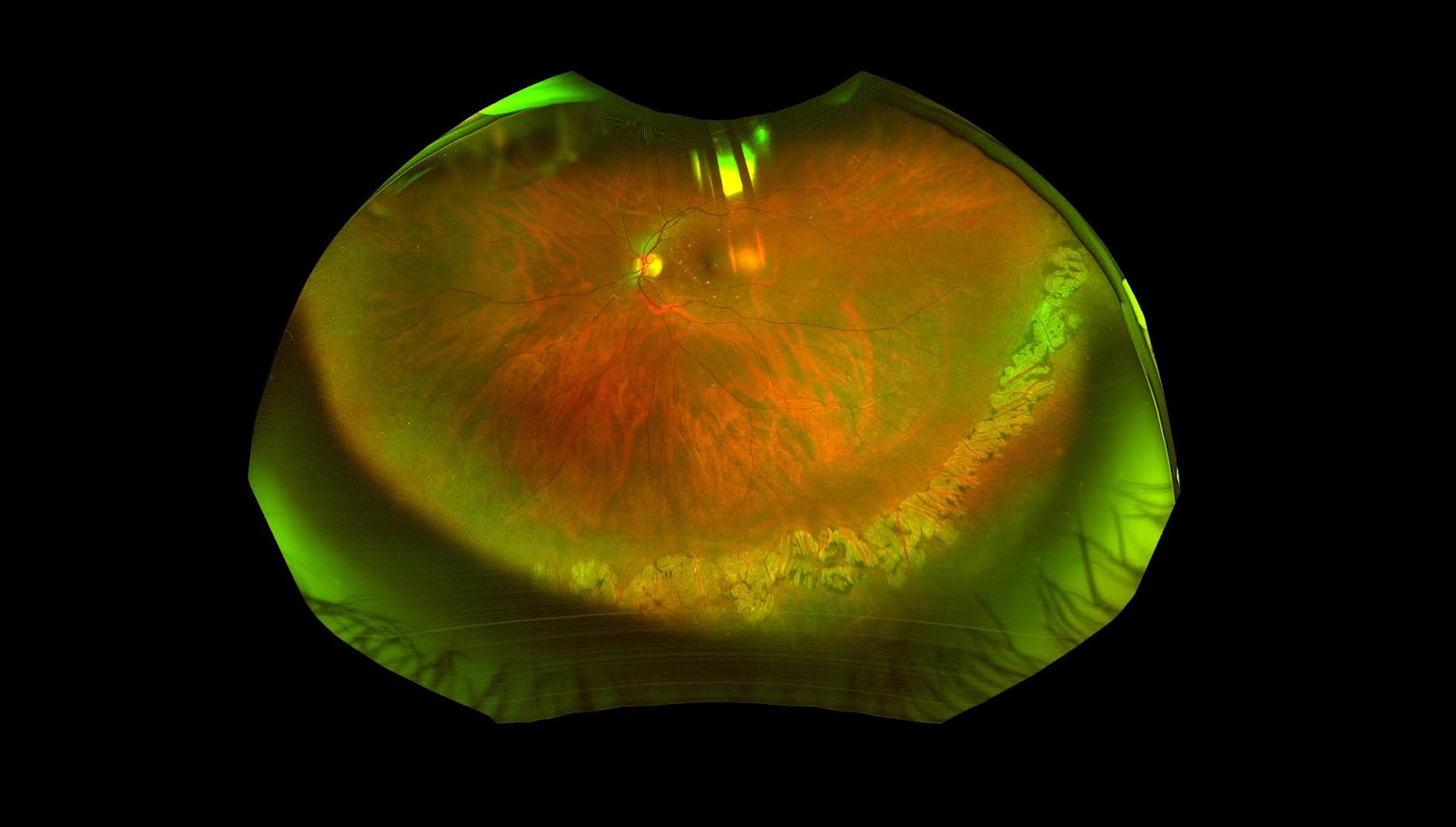 Sonoran Desert Eye Center