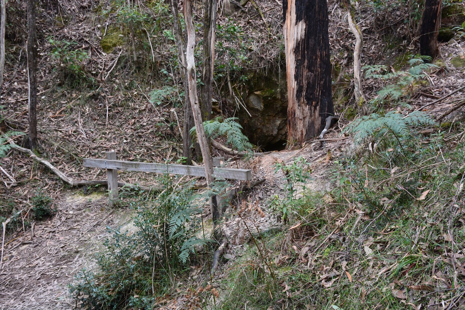 walkabouters club of victoria inc: Whipstick Loop, Blackwood
