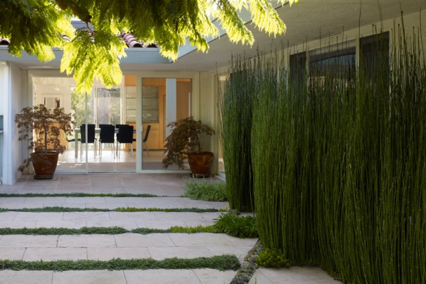 paradis express: James Lord, Surface Design